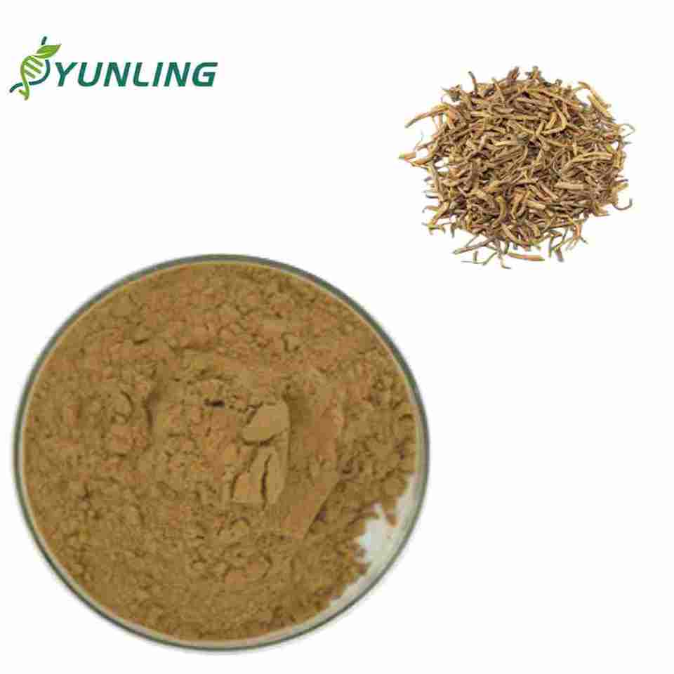 High Quality Herbal Extract Vitamin Plant Gentian Root Extract Powder ...