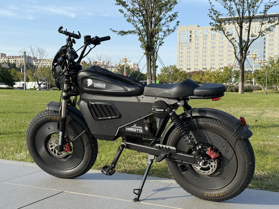 Himoto 2025 Customizable Electric Hybrid Bicycle with 1500W 30AH 60AH ...