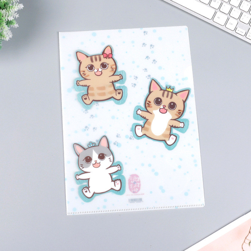 L Shape Paper File Folders - Customizable & Durable Solutions