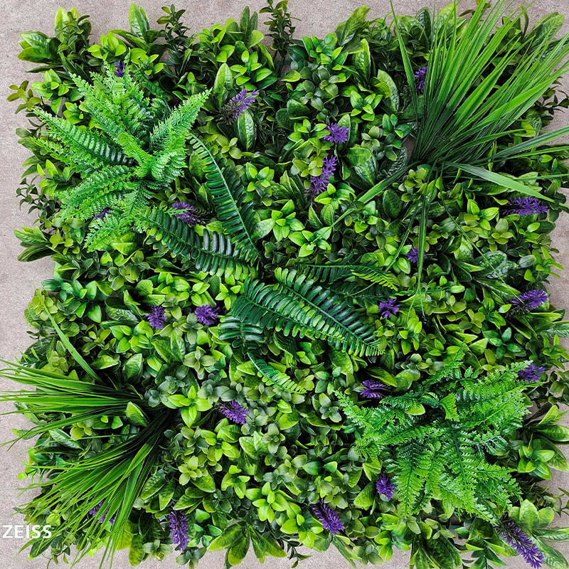 How to Choose the Best Wall Grass Plant for Indoor & Outdoor Use