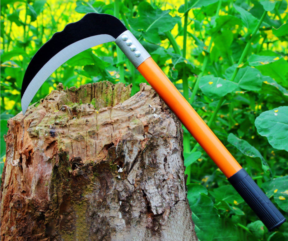 Promoción spanish, Compras online de spanish promocionales, hoz mano ...