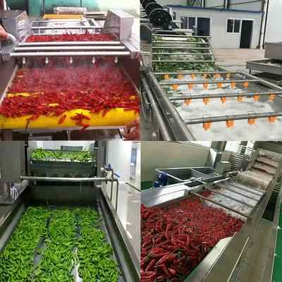 Pepper Washing Sorting Drying Grinding Processing Line
