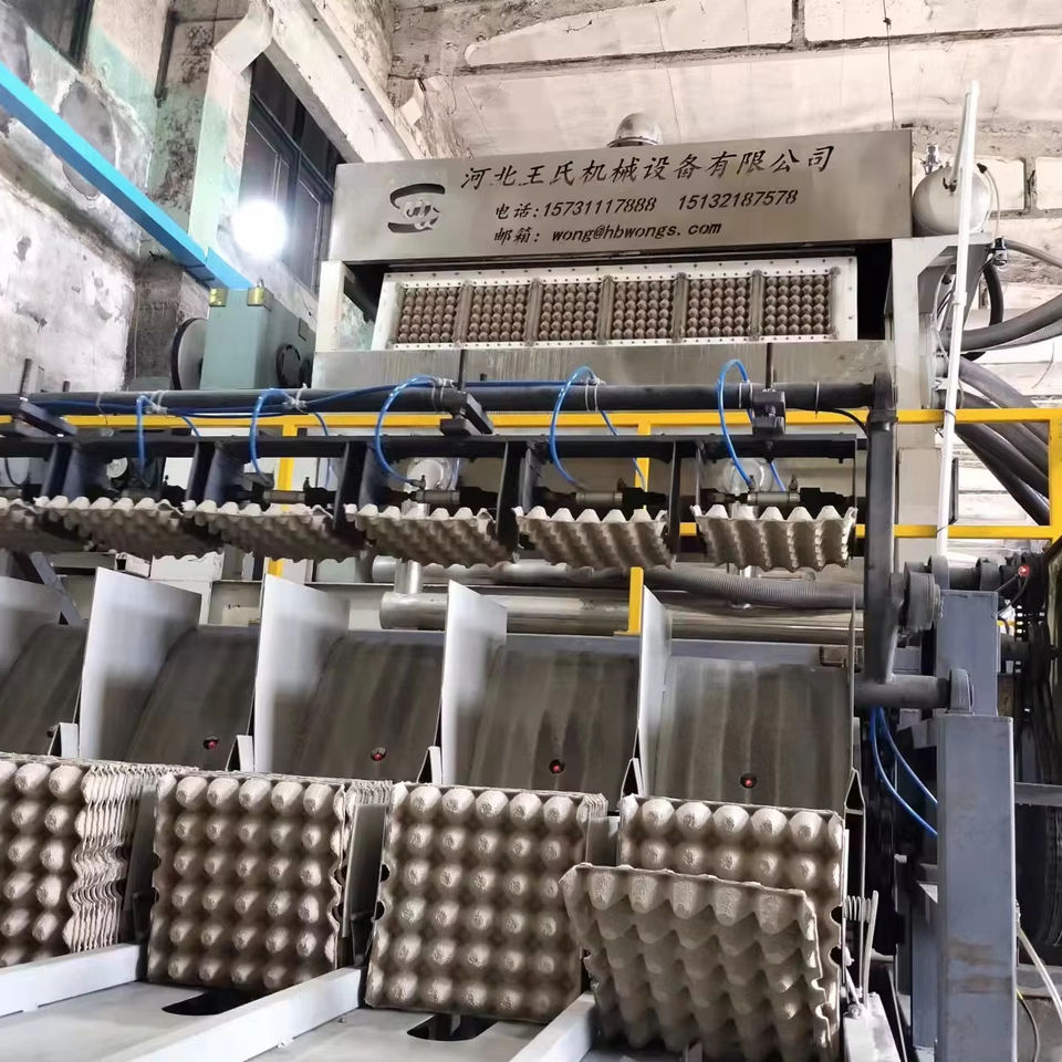 Eight Side High Output Egg Tray Production Line| Alibaba.com