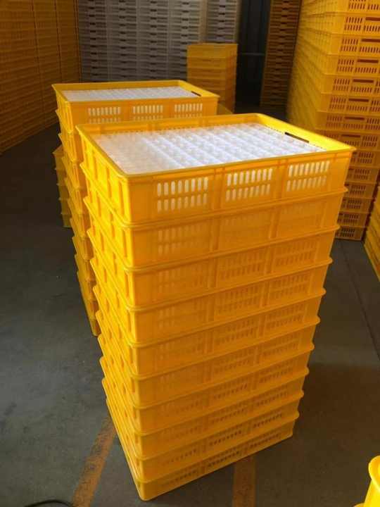 Yellow Colour Hatch Box - Chick Transport for Incubators