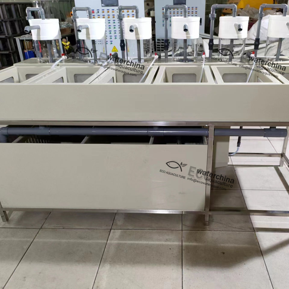 ECO Incubator - Efficient Fish Eggs Hatchery Solutions