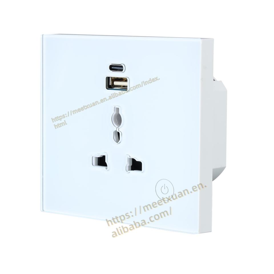 Tuya WIFI 16A Universal Wall Socket With USB Type C Electrical Plug ...