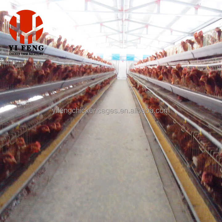 Metal Galvanized Commercial Automatic Battery Chicken Cages Poultry ...