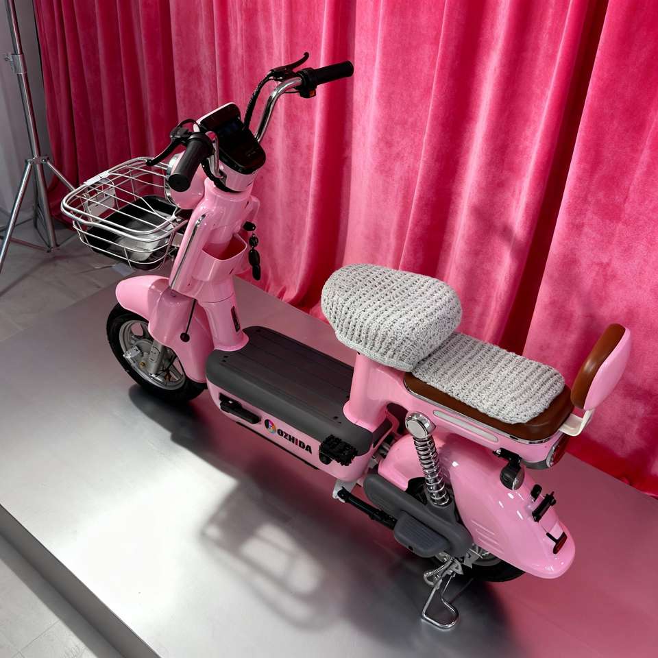 450w 2 Wheel Electric Motorcycle with Pedals Electric Scooter Moped ...