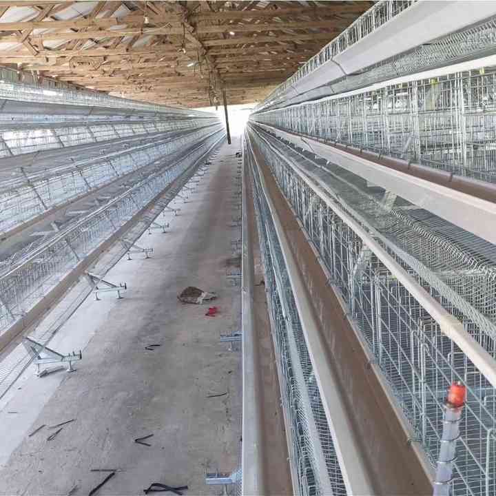 4 Tiers Chicken Layer Battery Cages Egg Layer 96/120/128/160 Birds 3/4 ...