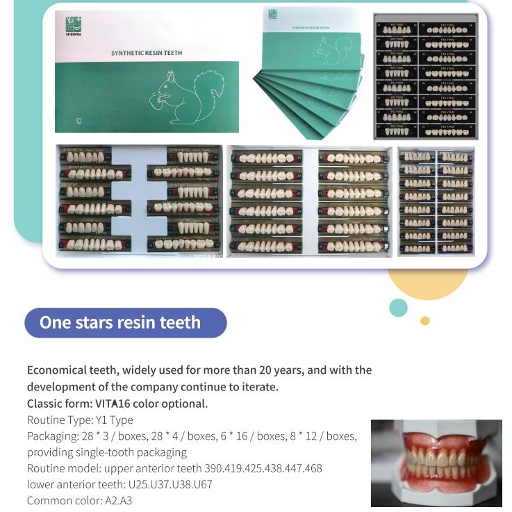 Discover Premium Feiying Dental Acrylic Teeth for Dentures | Feiying