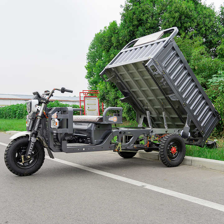 Domestic Small Tricycle Electric Tricycle Open Body 3-Wheel Bicycle ...