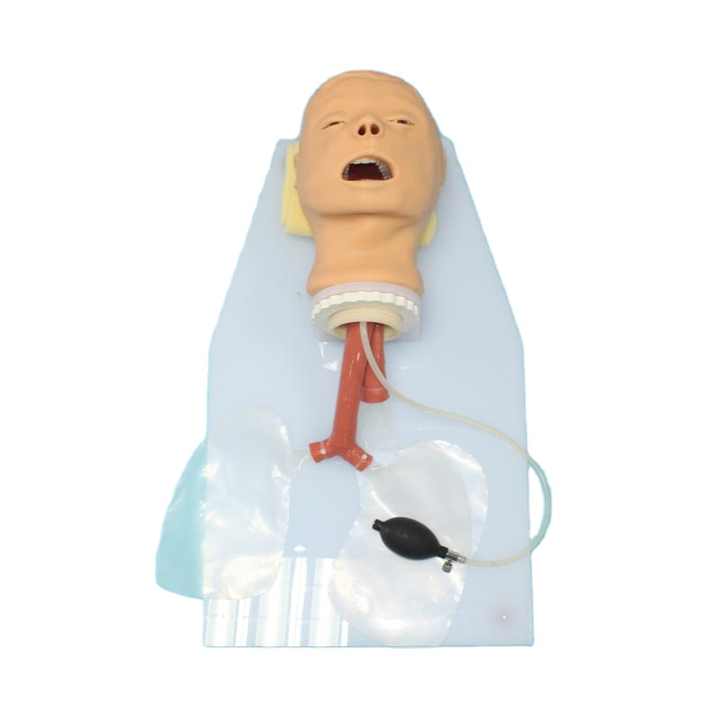 Inbutation Training Model - Electronic Airway Intubation Simulator