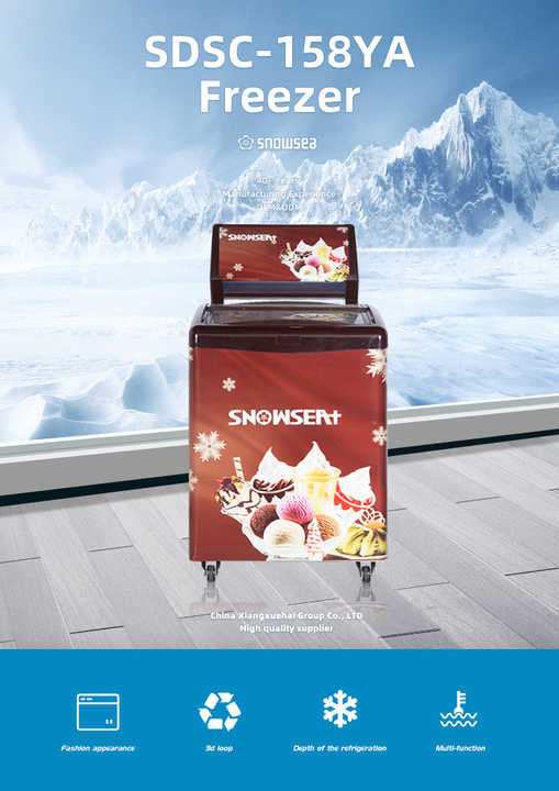 Snowsea Mini Chest Display Showcase Freezer for Meat & Fish