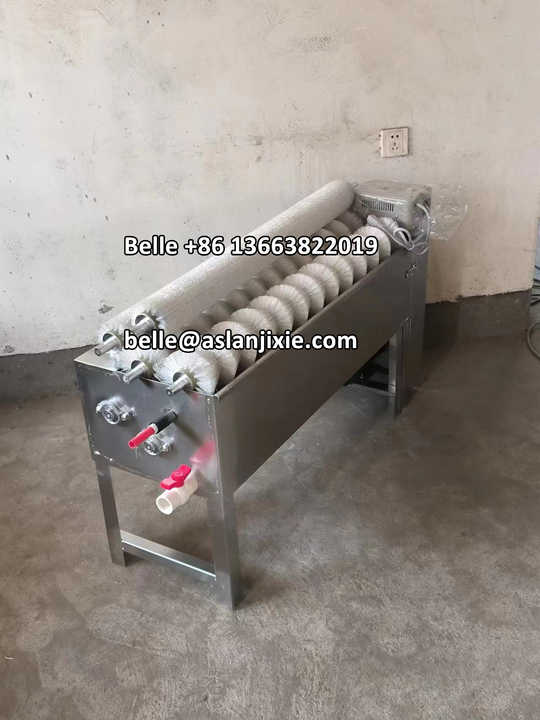 Commercial Salt Water Egg Washing Machine for Chicken & Duck Eggs
