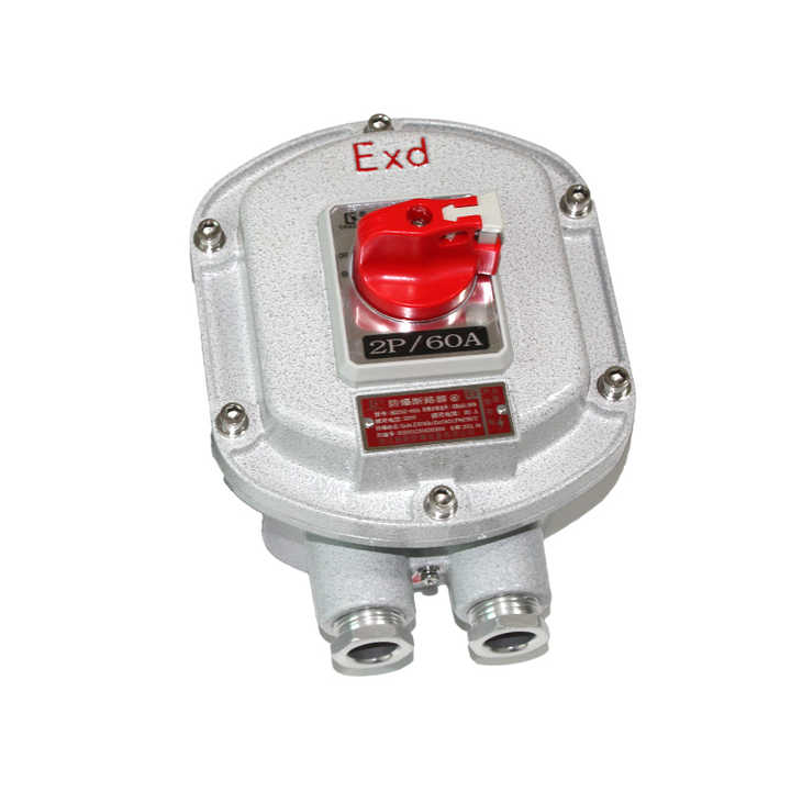 Explosion Proof Circuit Breaker Iib 2p 3p Customized Industrial Factory