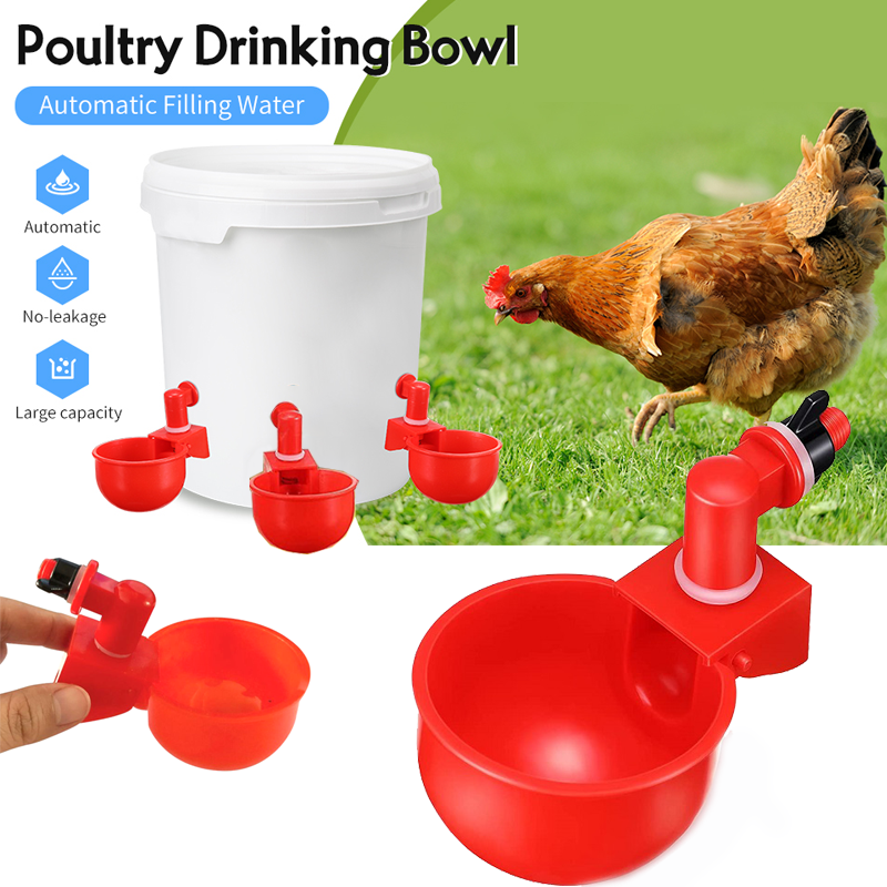 Plastic Automatic Poultry Drinker Chicken Drinking Bowl Chicken ...