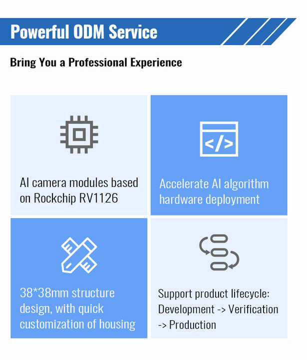 Smartgiant CCTV Camera Module - High Resolution AI Control Board