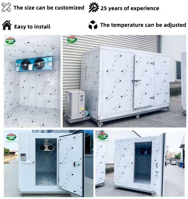 Jialiang Small Refrigerator Unit - Efficient Freezing Solutions