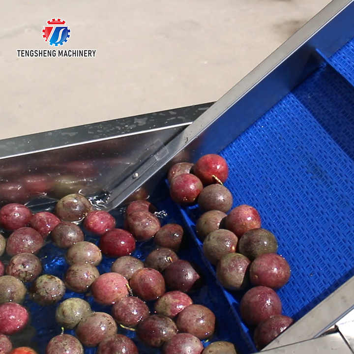 Stainless Steel Automatic Vegetable and Fruit Elevator