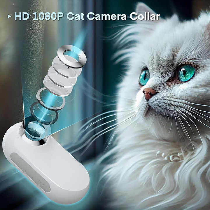 1080P WiFi Action Cat and Dogs Camera Dog Collar Outdoor Indoor Tracker ...