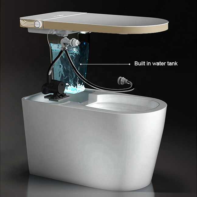 Smart Toilets - Luxury Gold Intelligent Wcs for Home & Hotel