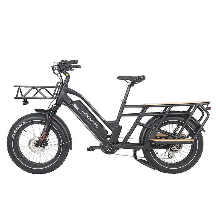High End 2 Wheel Long Tail Fat Tire Electric Bike 500W 750W Family ...