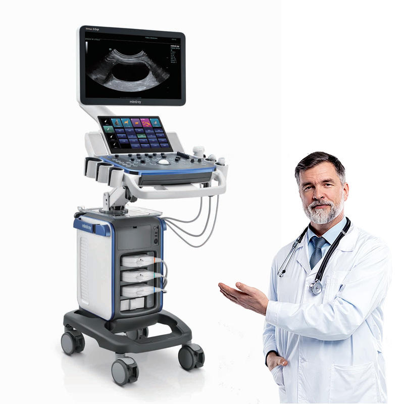 Mindray Vetus 5Exp Veterinary Instrument Animal Ultrasound Diagnostic ...