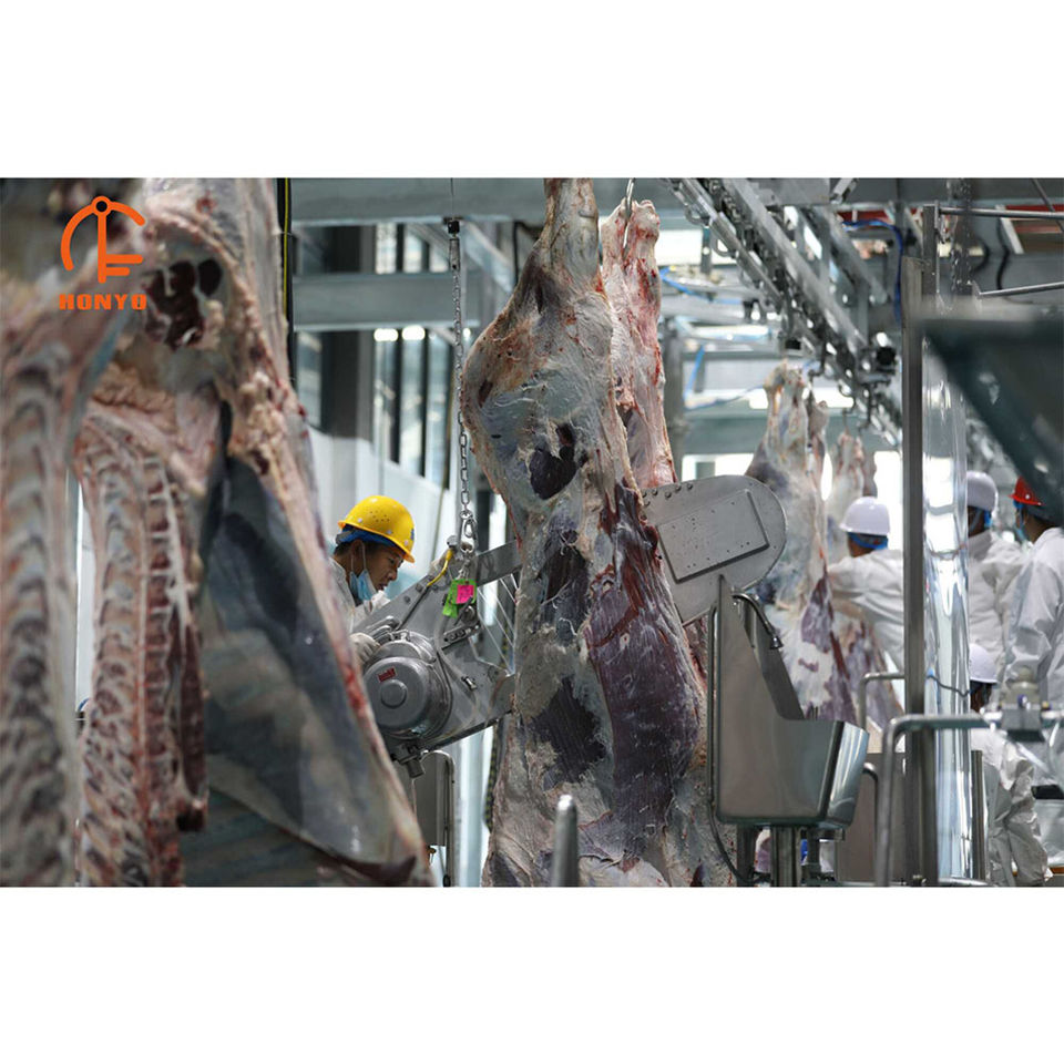 Automatic Cattle Abattoir Slaughter Line Beef Processing Plant Cow ...