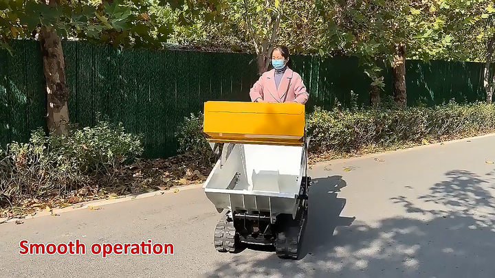 Mini Dumper Truck 800kgs - Versatile & Durable Solutions