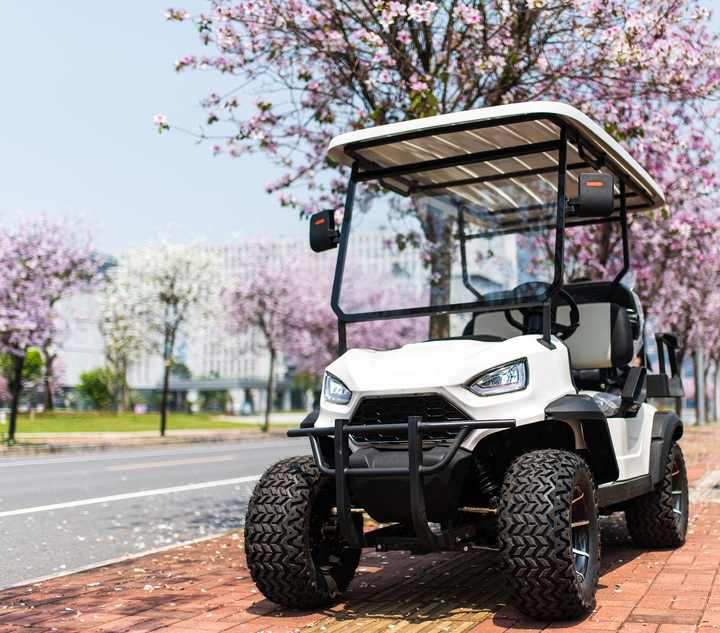 Customize ODM/OEM Lifted Golf Cart Running Chassis