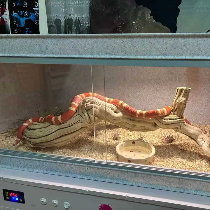 Snake Rack - Durable and Efficient Reptile Breeding Enclosure