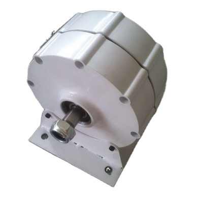 600W Permanent Magnet Generator - Efficient Power Solutions