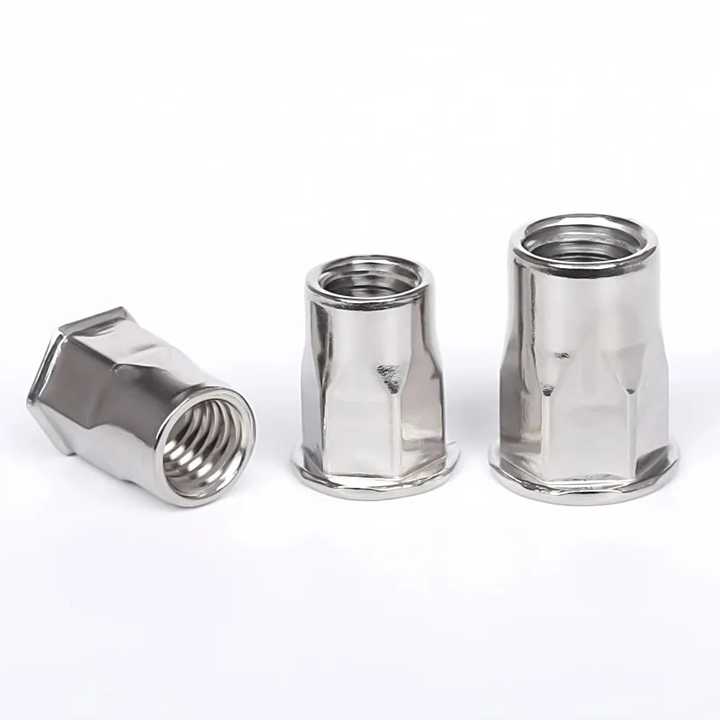Polished Stainless Steel 304 316 316L Metric Threaded Hex Body Insert ...