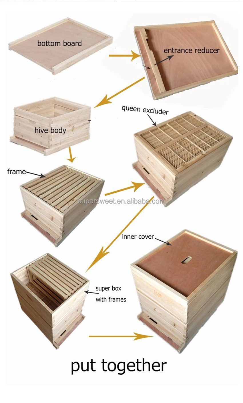 10 Frames Beekeeping Wooden Langstroth Beehive Bee Hive Two Layer Hive
