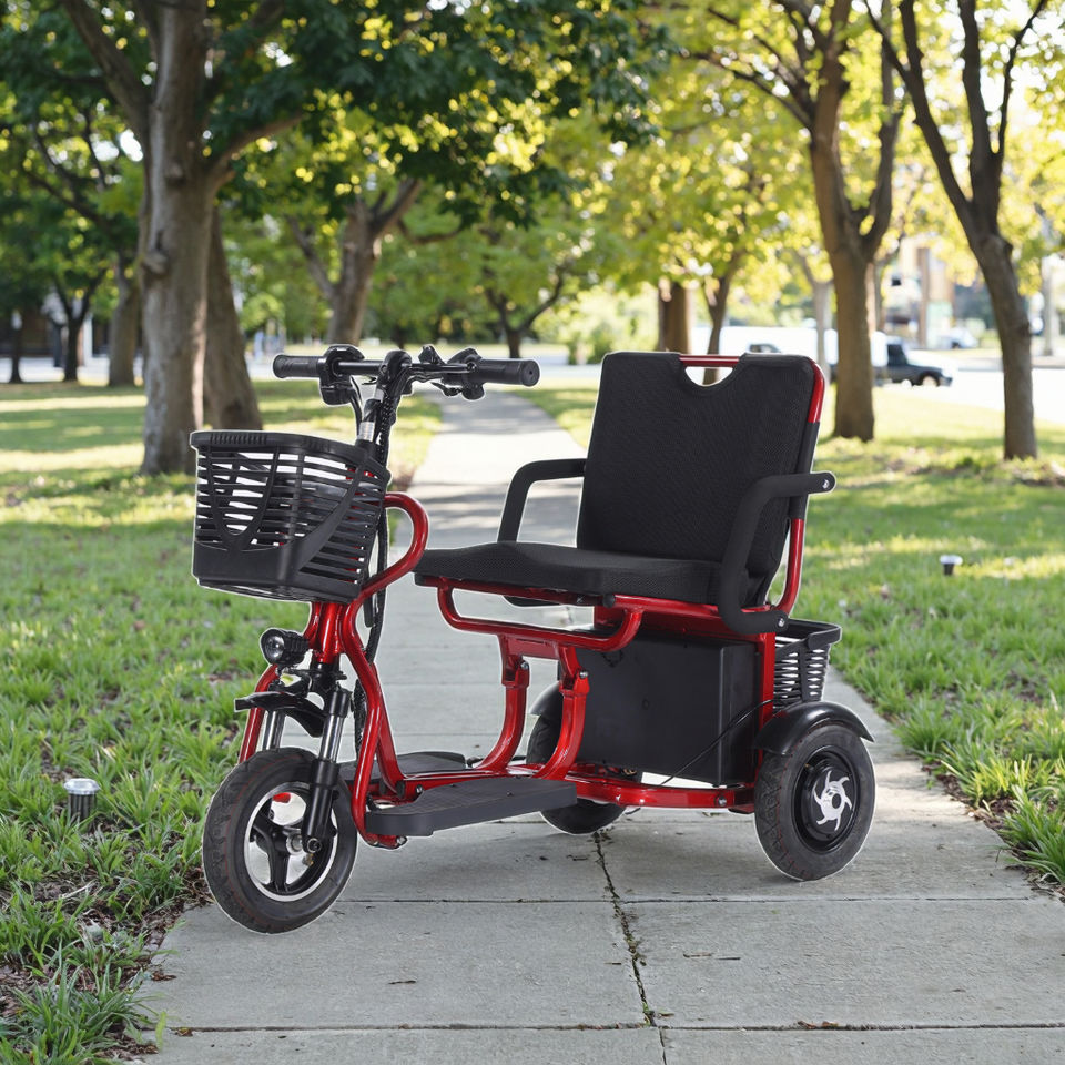 48V Aluminum Alloy Electric Tricycle Open-Type Passenger Foldable with ...
