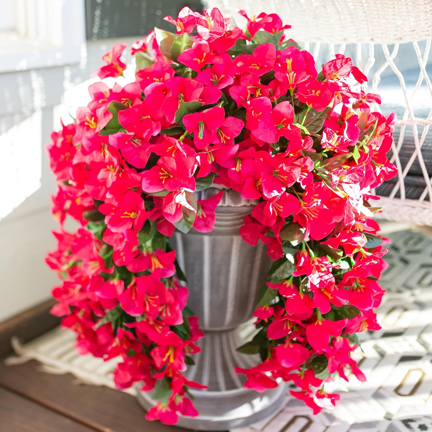 How to Choose the Best Hanging on Back Drop Flower for Your Space