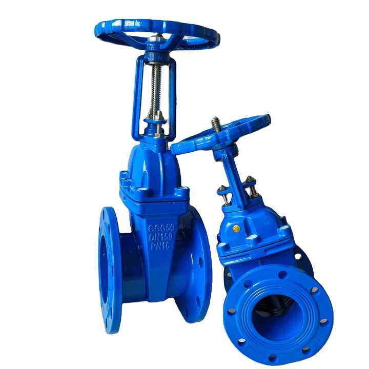 Factory DN125 Flanged Ductile Iron Water Gate Valve Rising Stem Gate ...
