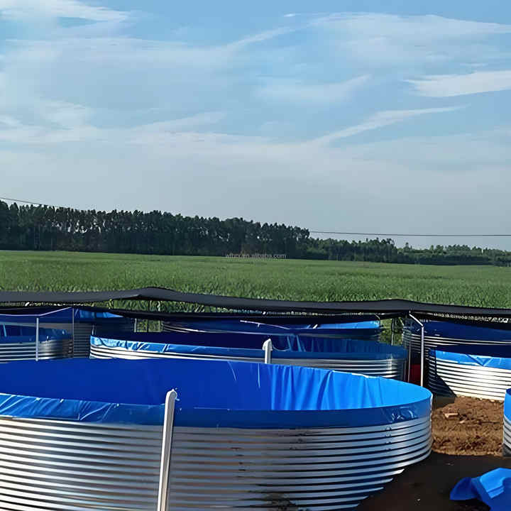 Efficient Indoor Recirculating Aquaculture System for Fish and Shrimp ...