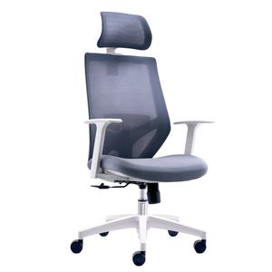 Ergonomic Office Chair With Locking Wheels for Style and Durability ...