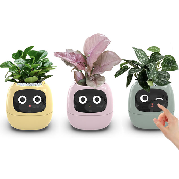Ai Sensor Smart Mimi Flower Pot Facial Interaction App Digital Pet Self ...