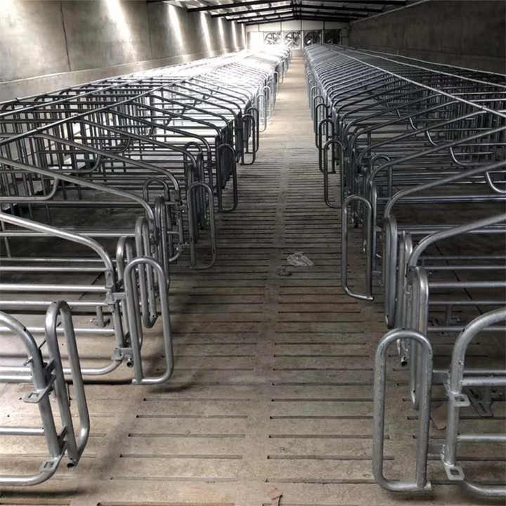 Hot Dip Galvanized Sow Gestation Cages for Pigs| Alibaba.com