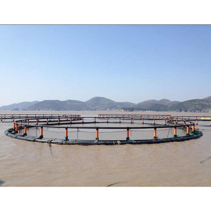 HDPE Floating Cages - High Productivity Aquaculture Solutions