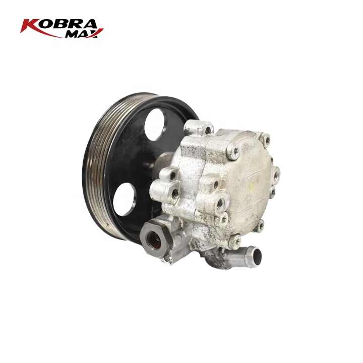 Auto Parts Power Steering Pump for Dacia Renault 491105510R