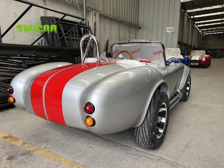 Customizable Mini Cobra Car Easy Drive Mini Car Electric Gasoline All ...
