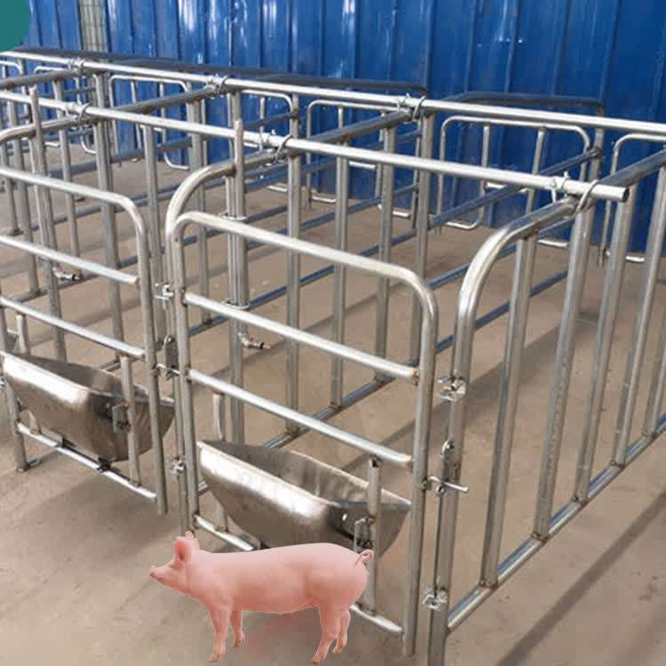 Heavy-duty Robust Sow Gestation Bed Pig Farm Gestation Crate Sow ...
