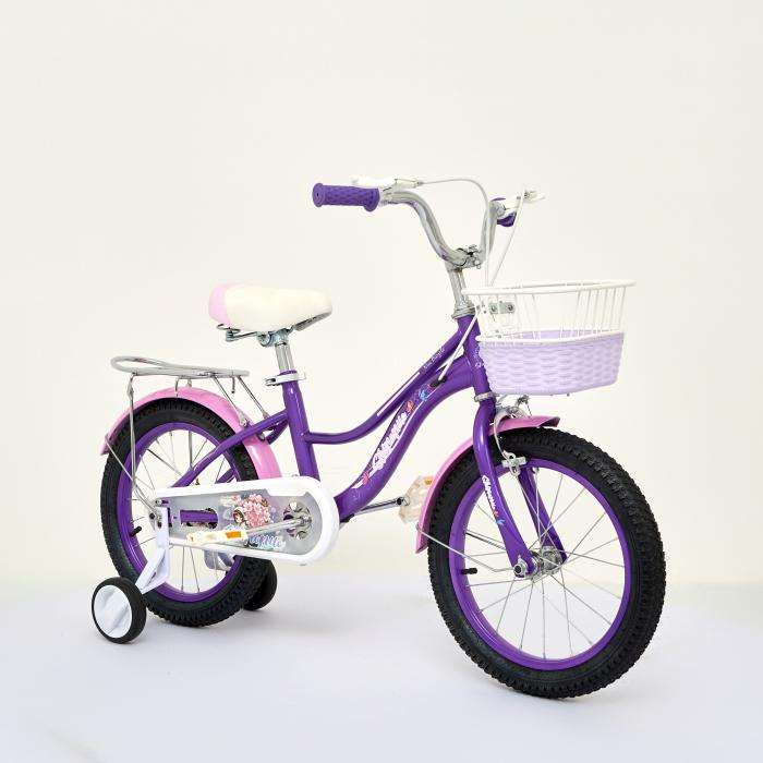 2025 China Factory Children Bike with Training Wheels Princess Kids ...
