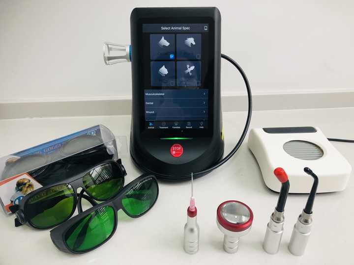 Portable Vet Laser Machine - Advanced Therapy for Animals