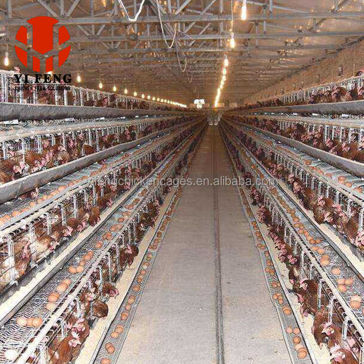 Chicken Layer Cage for Layers Poultry Farming Layers Cage 1000 Chickens ...