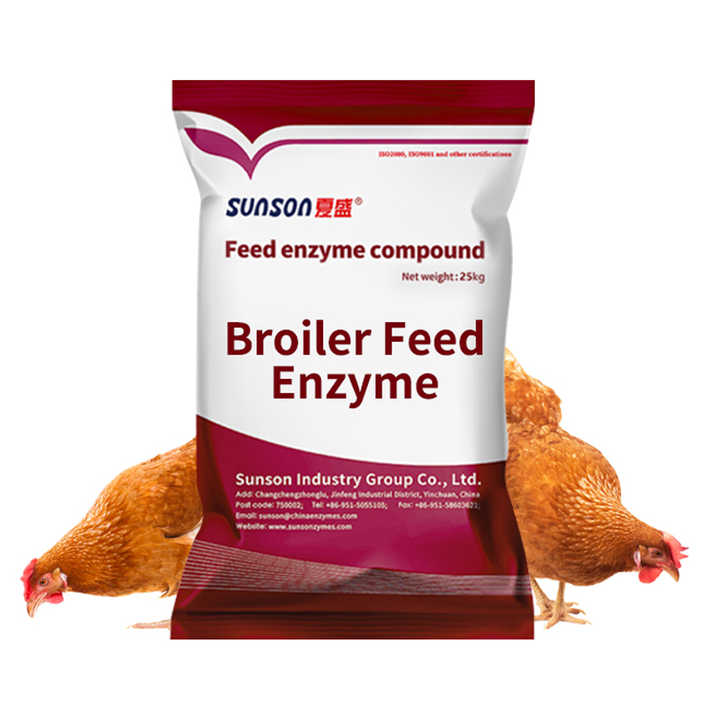 Feed Enzyme for Broilers - Enhance Poultry Performance