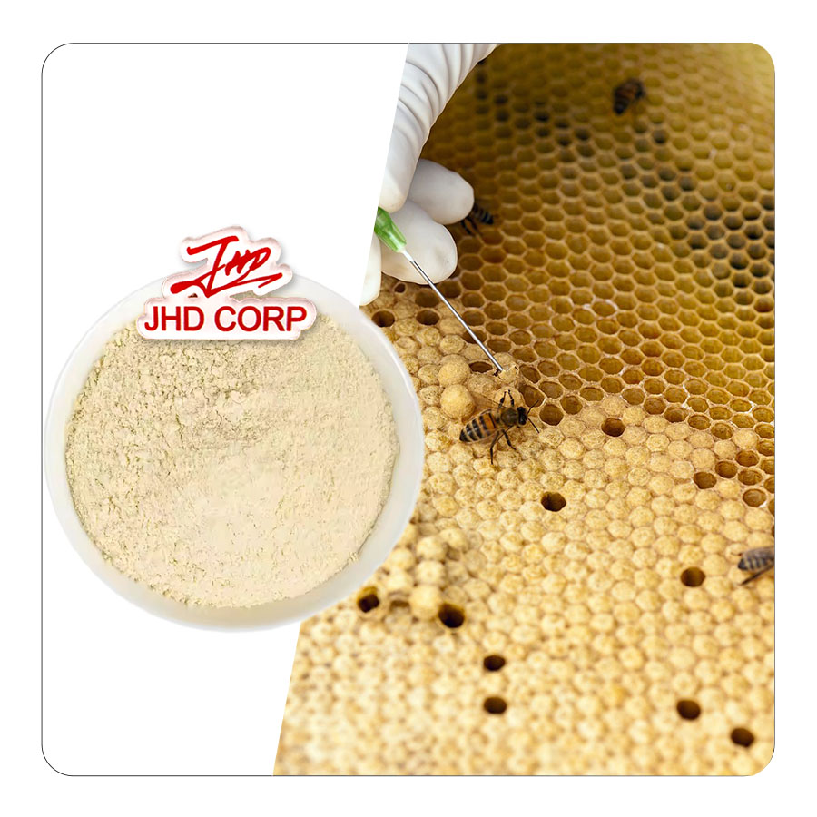 How to Choose the Best Bee Protein: A Complete Buying Guide